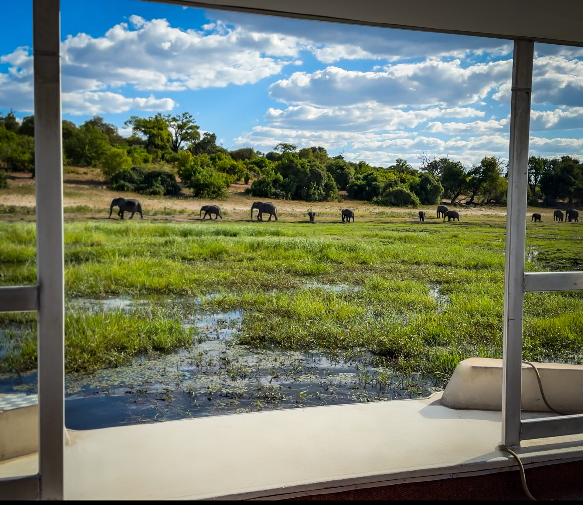 Chobe River Cruise - Chobezi