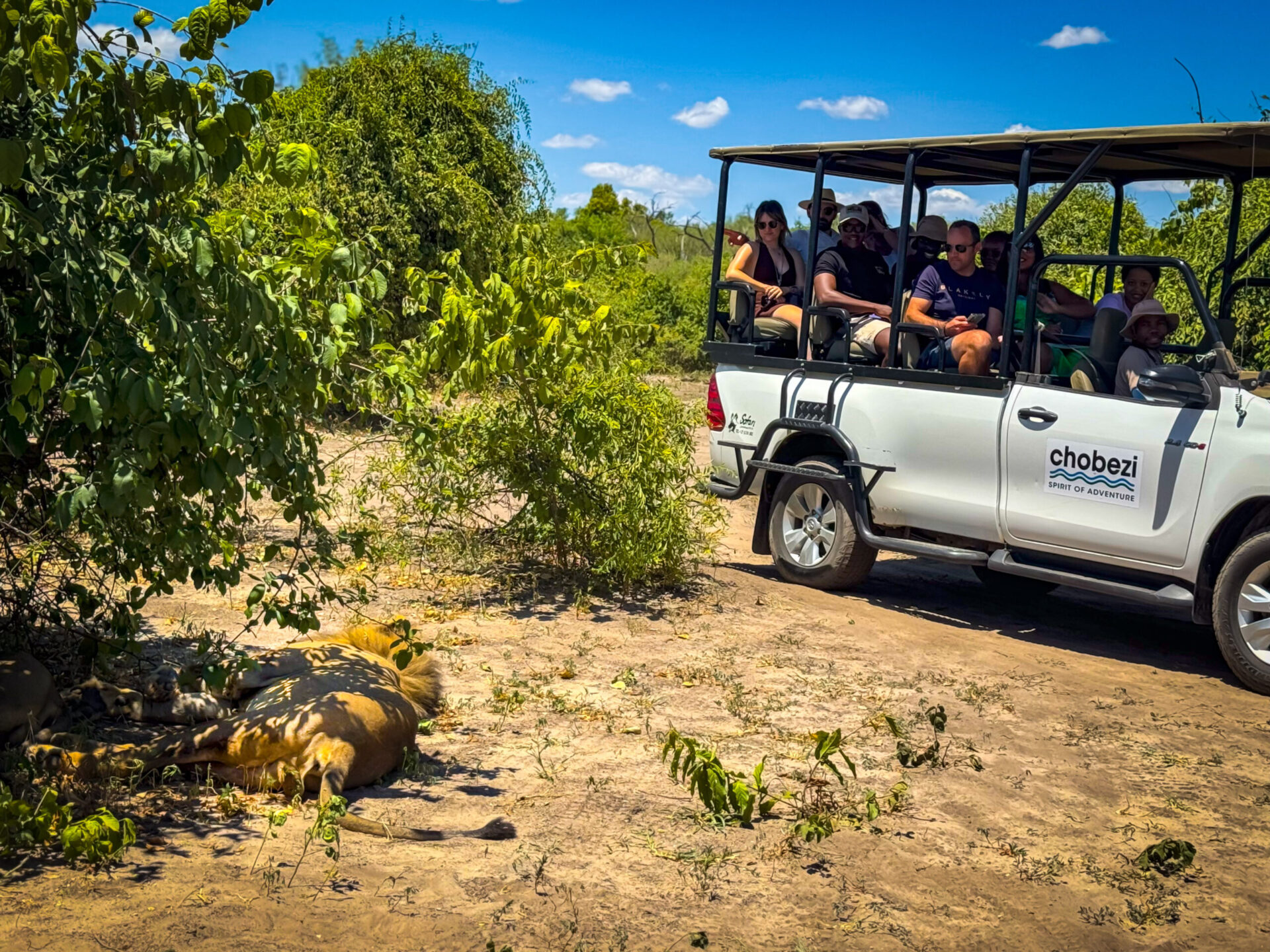 Chobe Day Trip - Chobezi